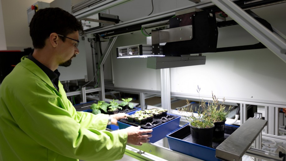 Australian Plant Phenomics Network at ANU | ANU Research School of Biology