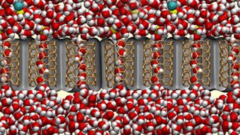 Biologically inspired membranes for the efficient desalination of water ... Biologically inspired membranes for the efficient desalination of water ...